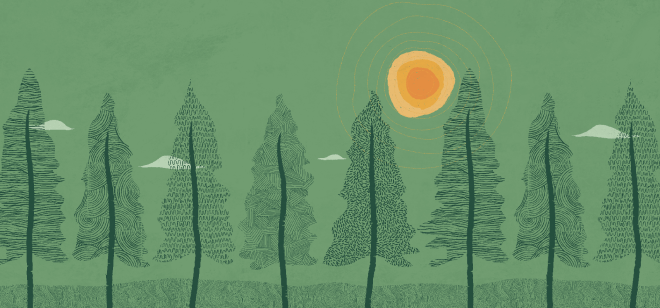 The Redwood story
